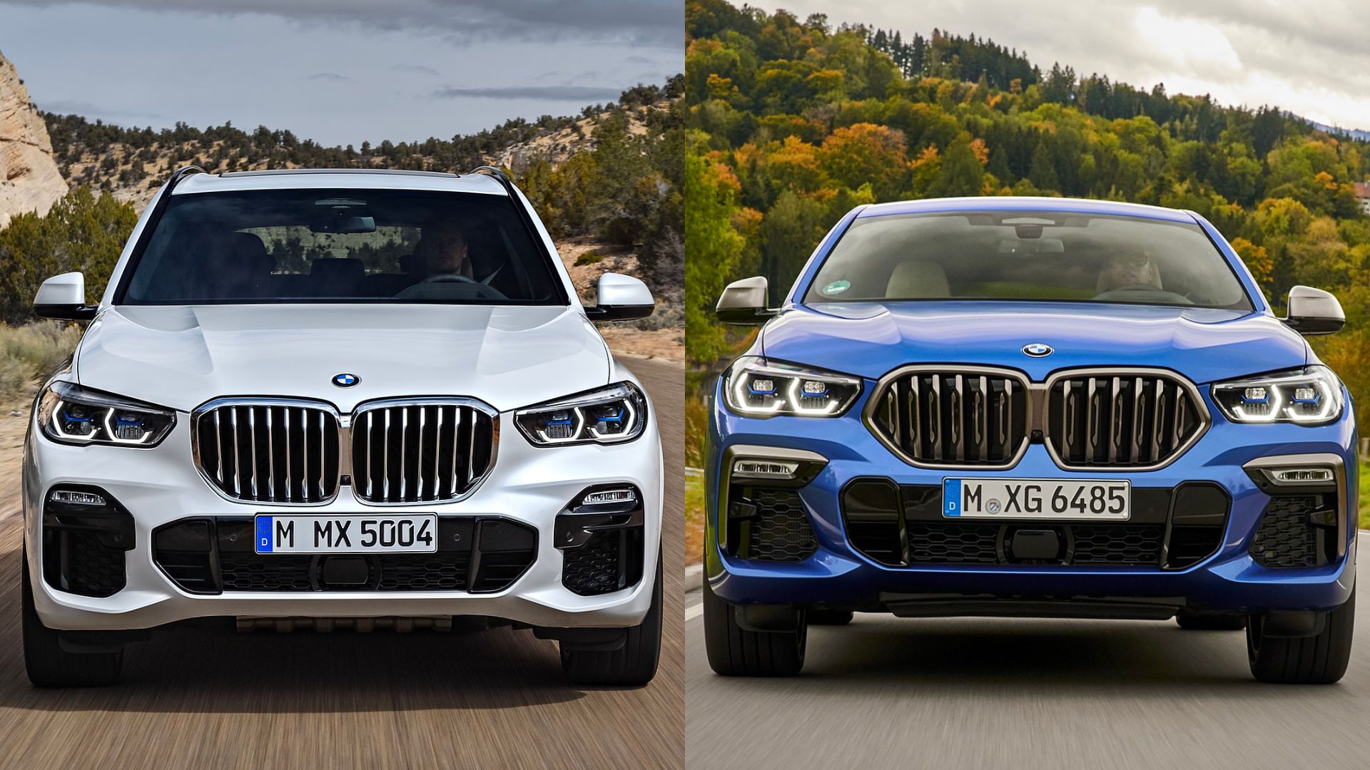 BMW X5 Vs X6 SAV Or SAC Motorborne